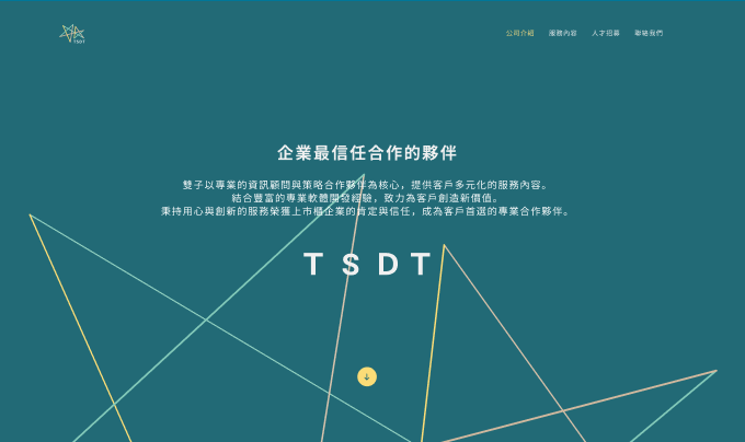 雙子數位科技有限公司–TSDT
